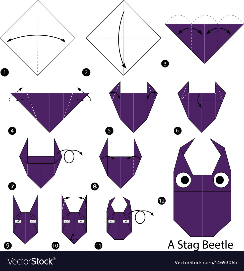Step by instructions how to make origami Vector Image