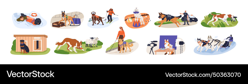 Assistance and working dogs set rescue guide Vector Image