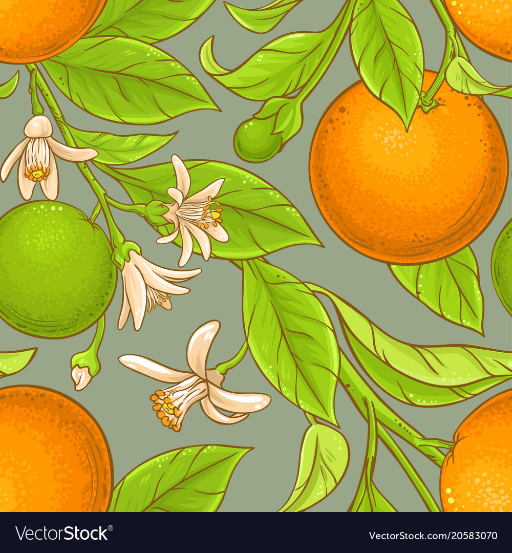 Orange pattern Royalty Free Vector Image - VectorStock