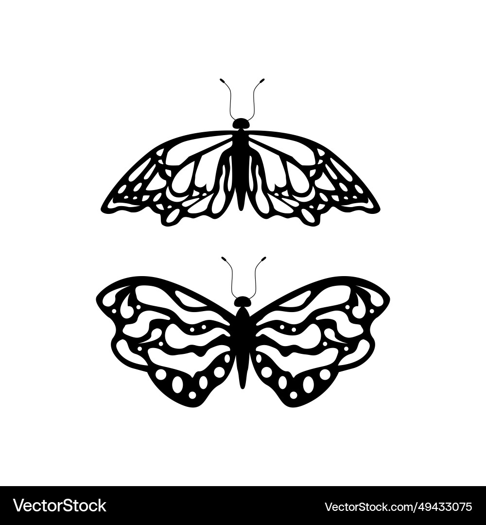 Butterfly silhouette design animal Royalty Free Vector Image
