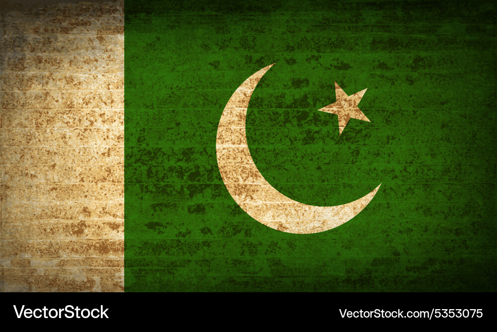 Flags pakistan with dirty paper texture Royalty Free Vector