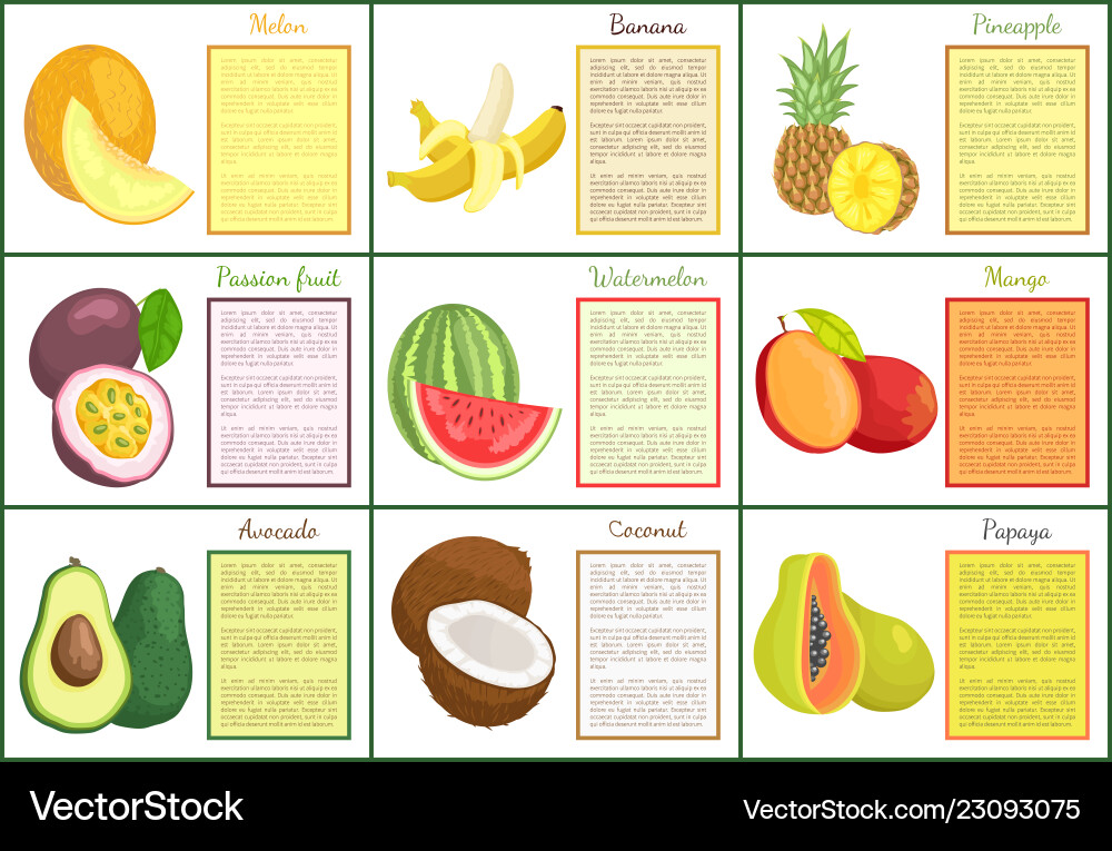 Melon and banana watermelon posters set Royalty Free Vector