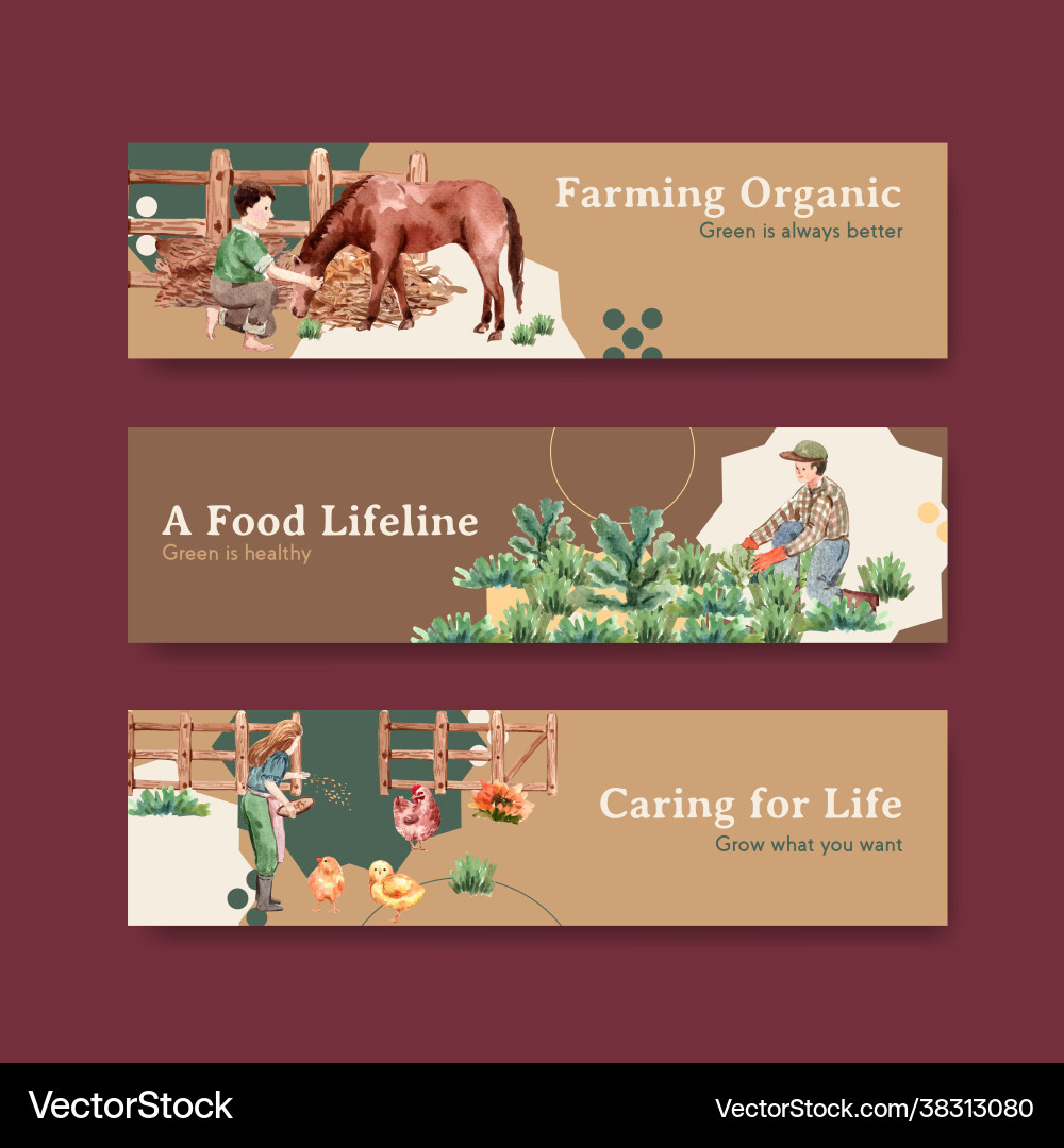 Banner template with farm organic concept design Vector Image