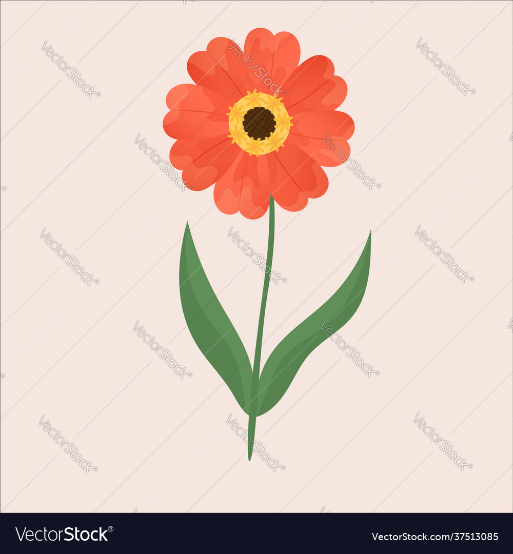 Beautiful spring flower design flat Royalty Free Vector