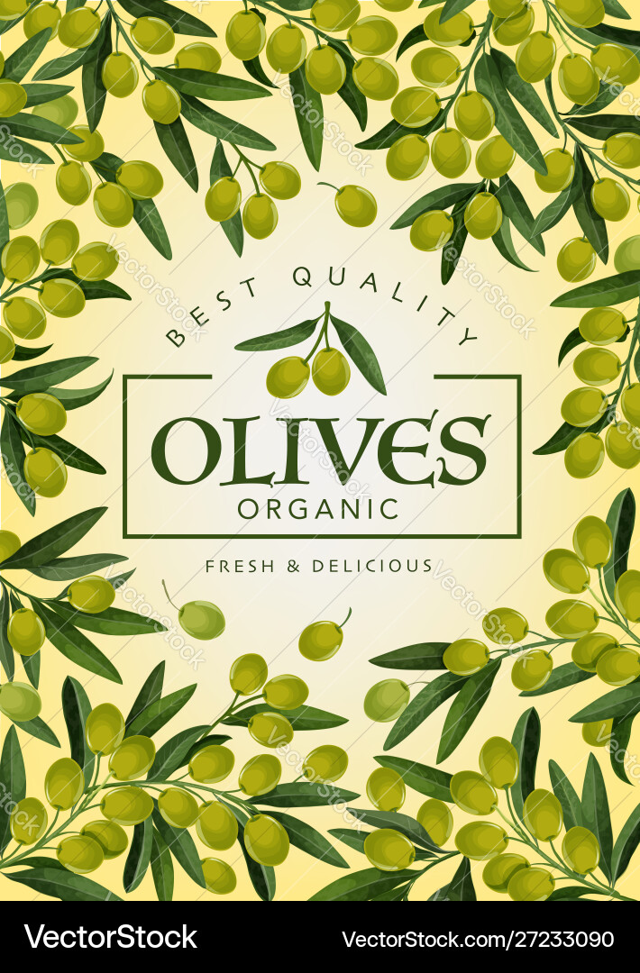 Green olives frame branches with fruits Royalty Free Vector