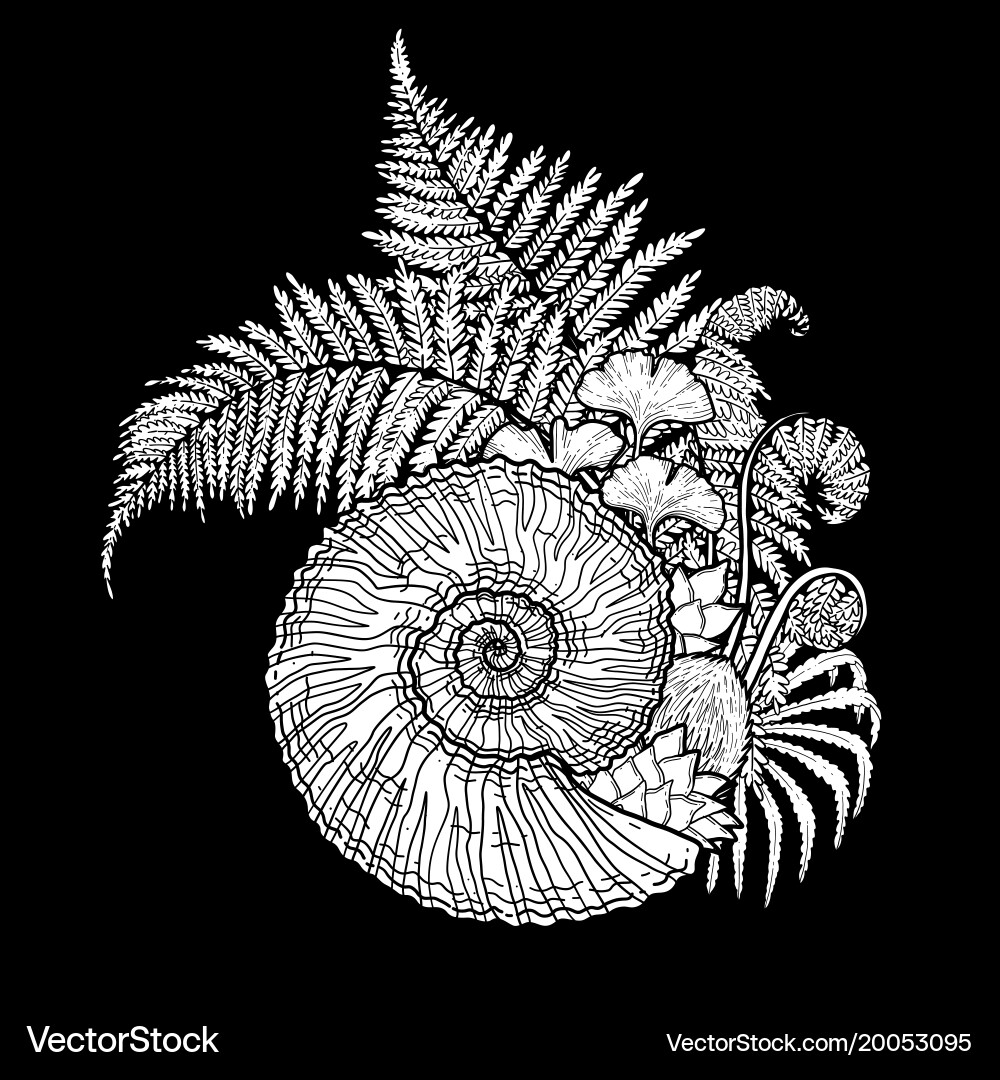 Prehistoric graphic seashell and fern branches Vector Image