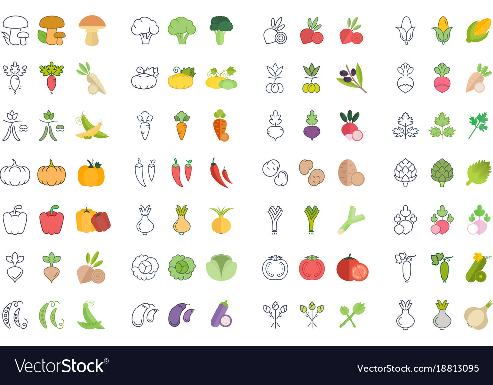 Set of vegetables Royalty Free Vector Image - VectorStock