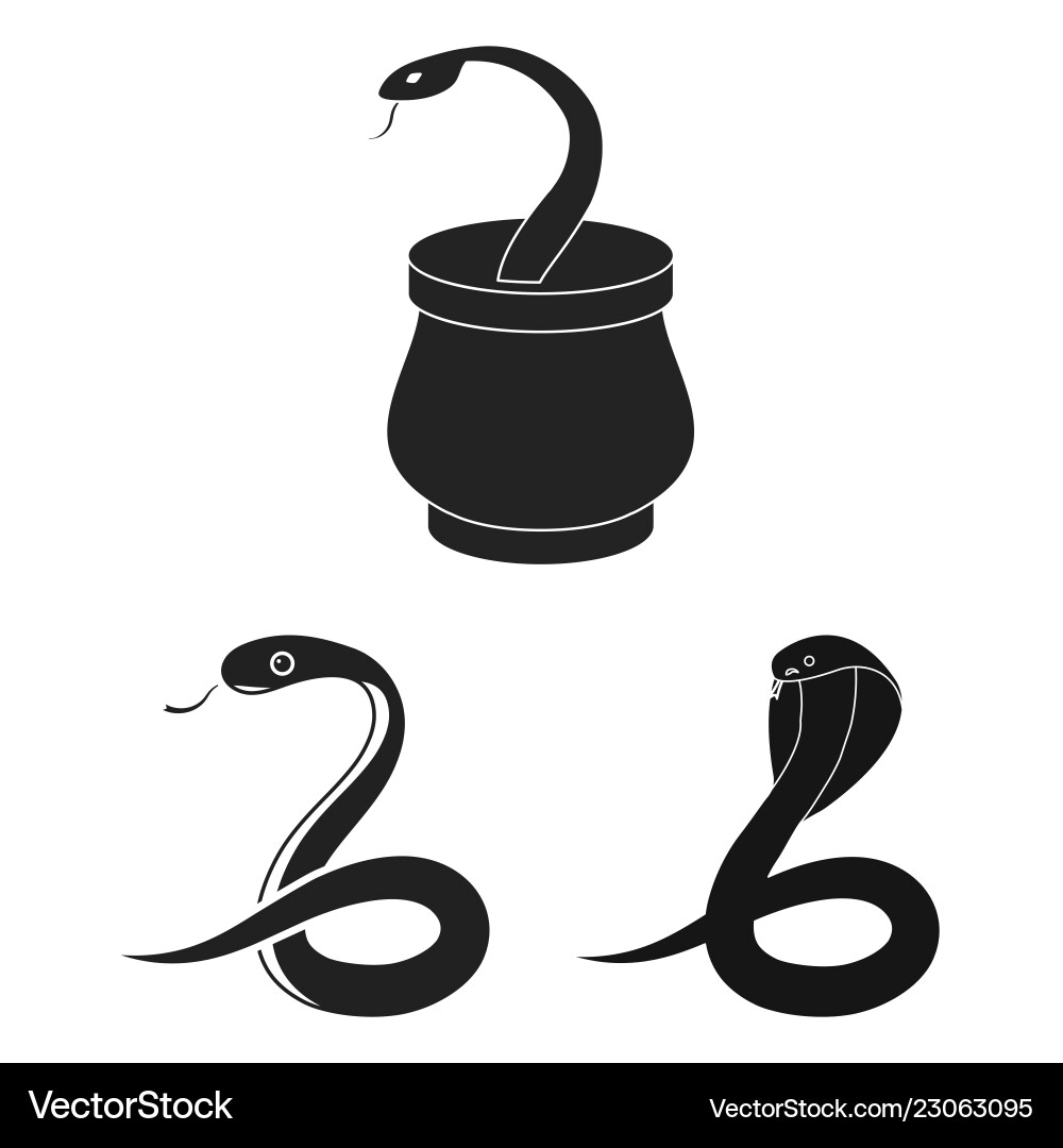 Snake and cobra sign s Royalty Free Vector Image