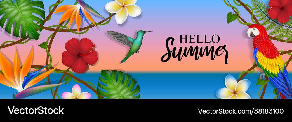Hello summer banner with tropical flowers Vector Image