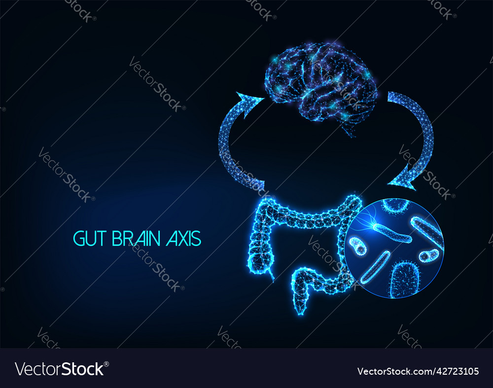 Futuristic gut brain axis microbiome and mood Vector Image