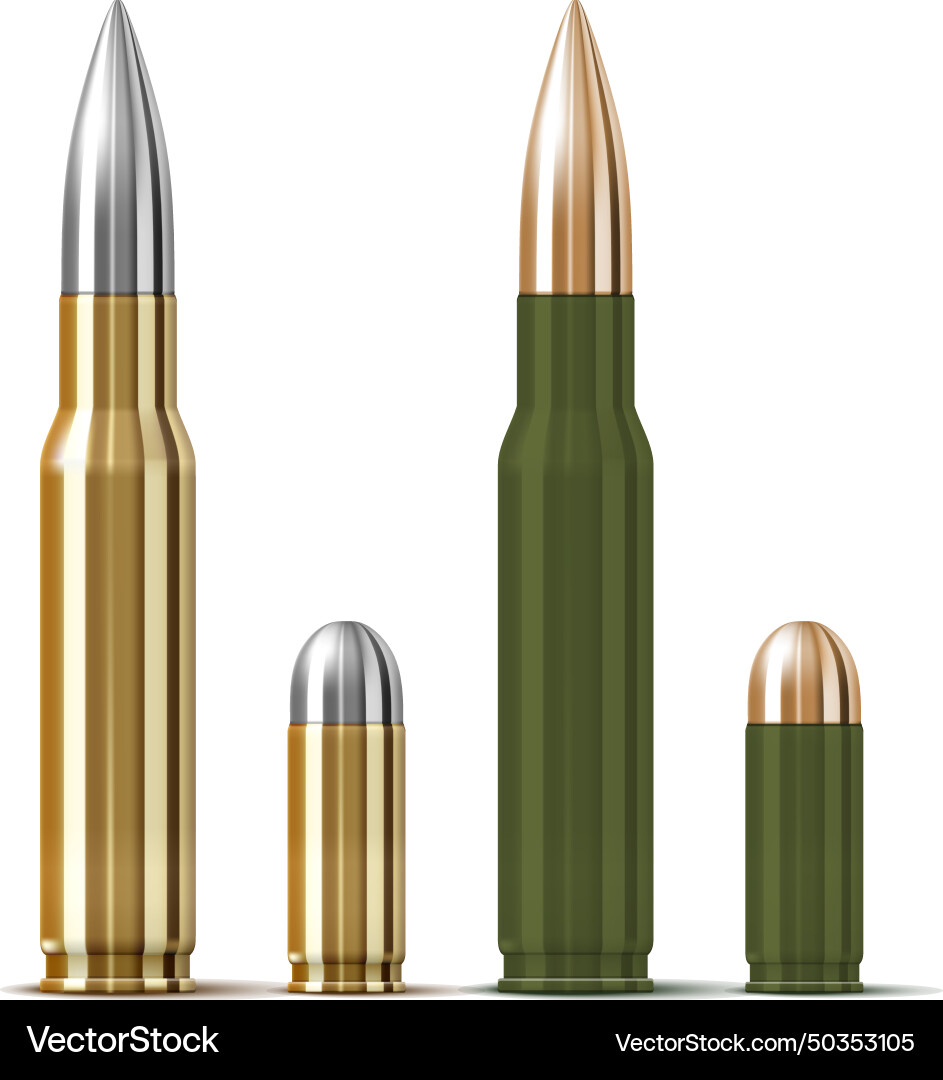 Rifle and pistol bullets Royalty Free Vector Image