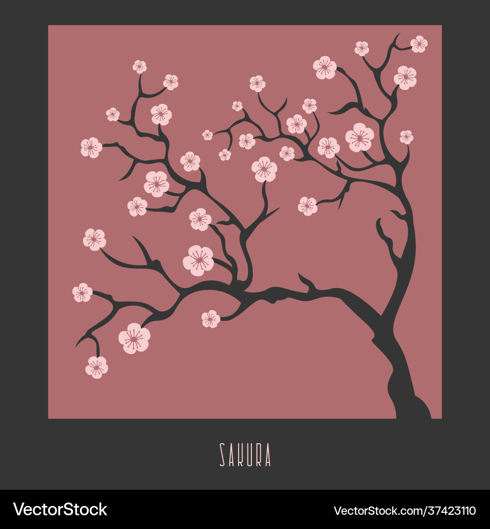 Blooming sakura branch on pink background Vector Image