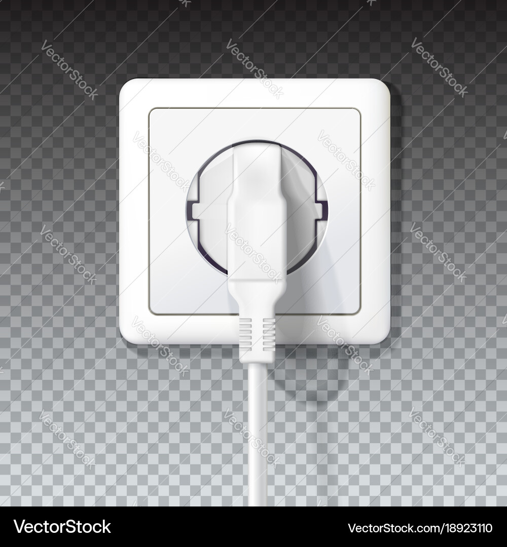 The plug is plugged into the power lines white Vector Image