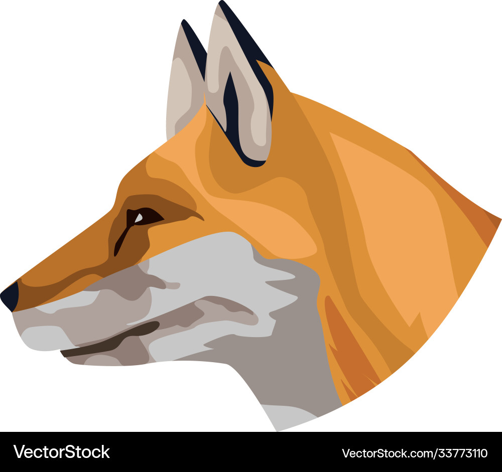 Wild fox animal nature icon Royalty Free Vector Image