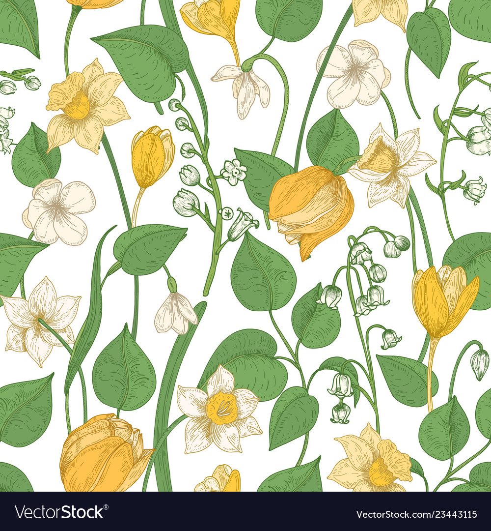 Floral seamless pattern with blooming spring Vector Image