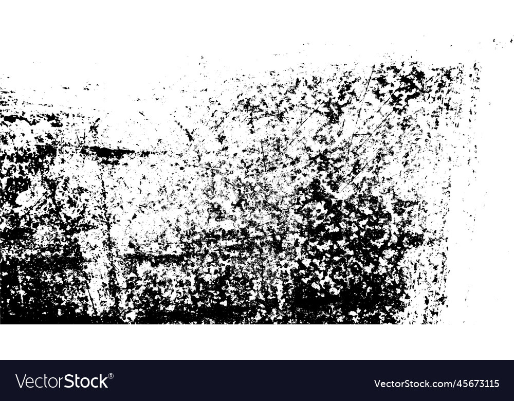 Grunge pattern black white texture Royalty Free Vector Image