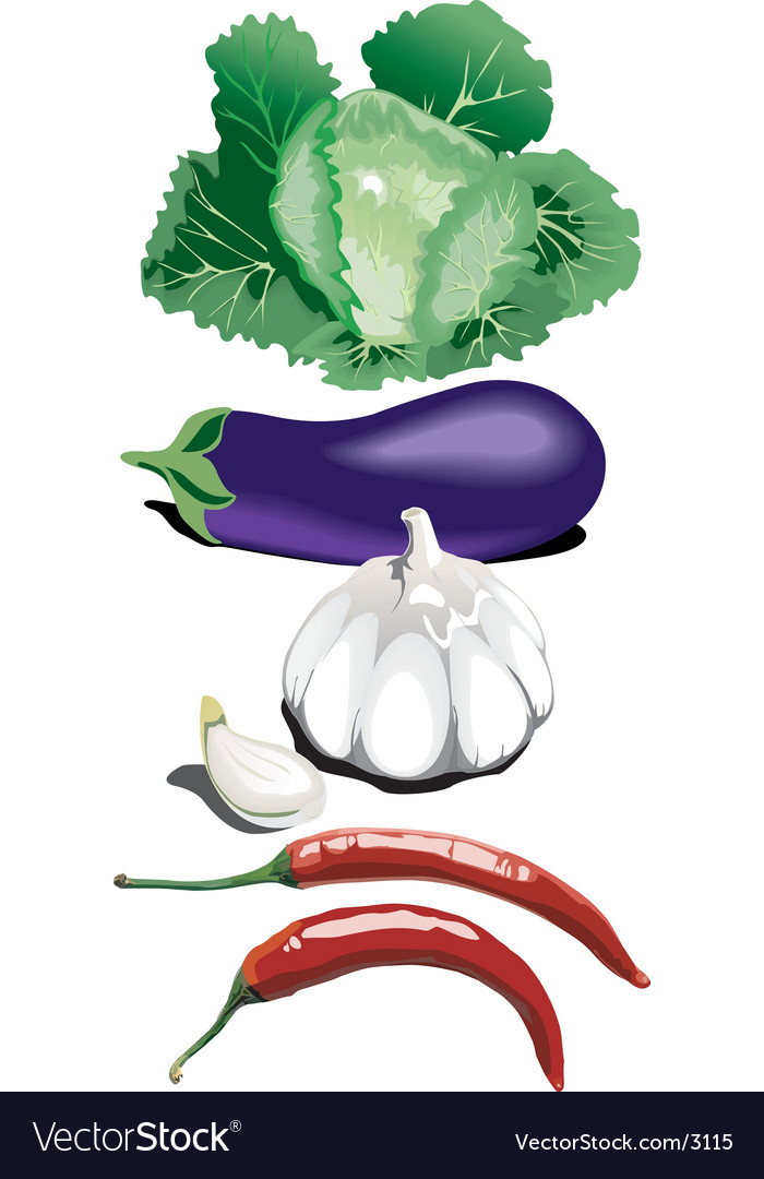 Vegetables Royalty Free Vector Image - VectorStock