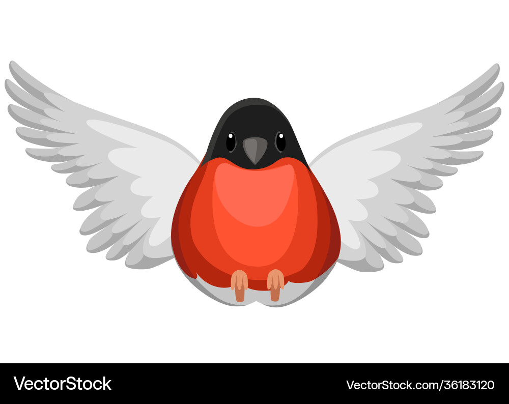 Front view flying bullfinch bird flat cartoon Vector Image