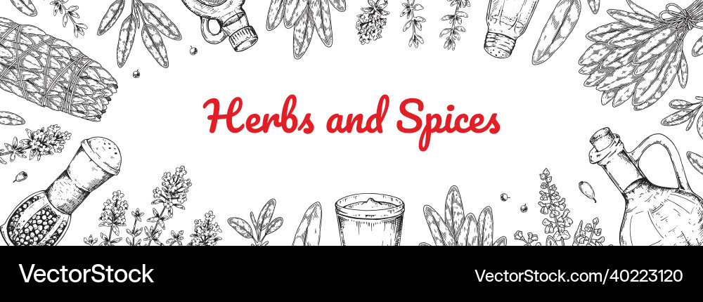 Hand drawn herbs and spices design Royalty Free Vector Image