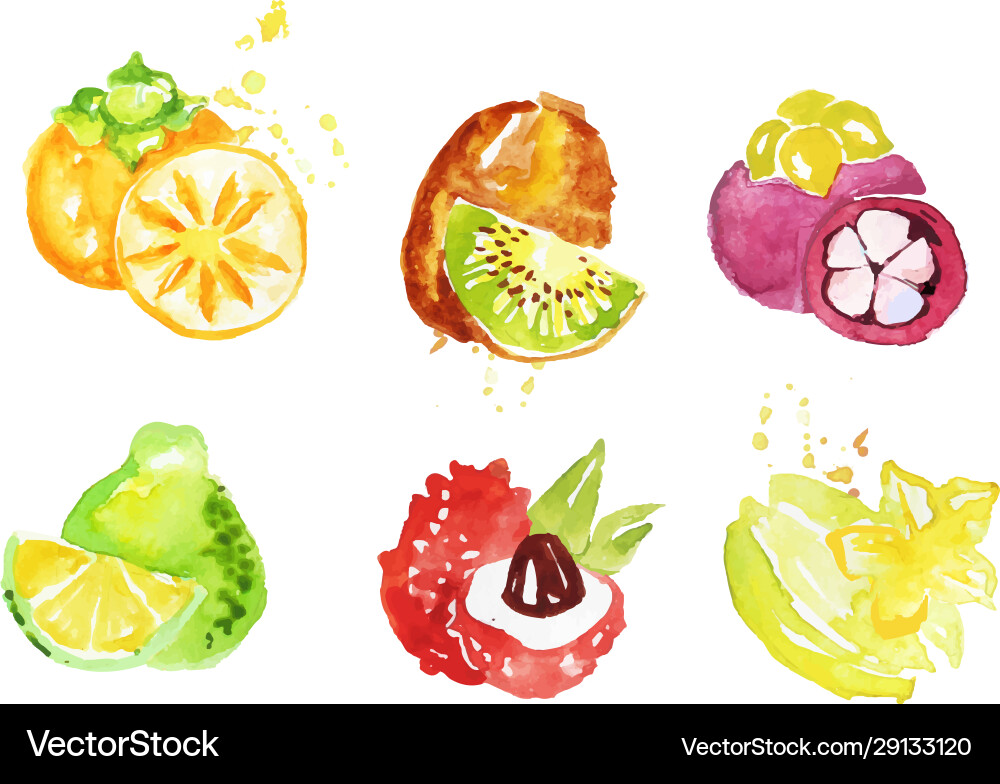 Juicy ripe tropical fruit collection persimmon Vector Image