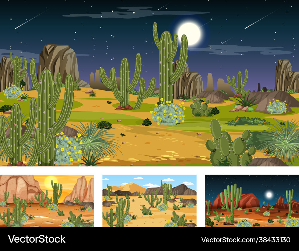 Different scenes with desert forest landscape Vector Image
