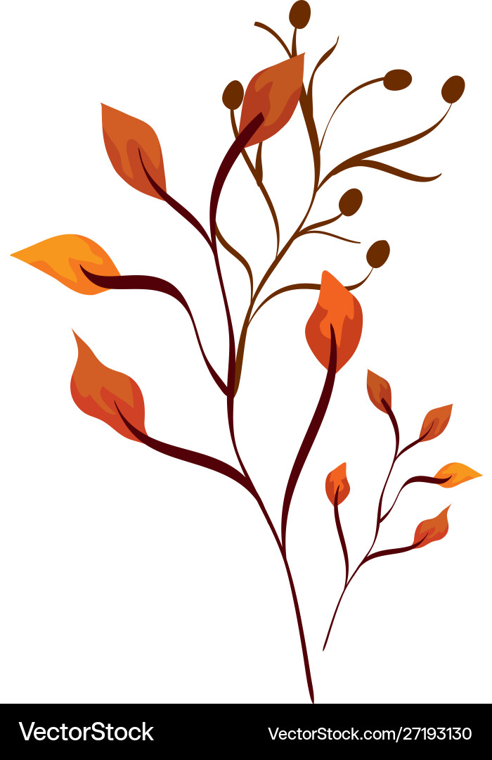 Season autumn branch with leafs Royalty Free Vector Image