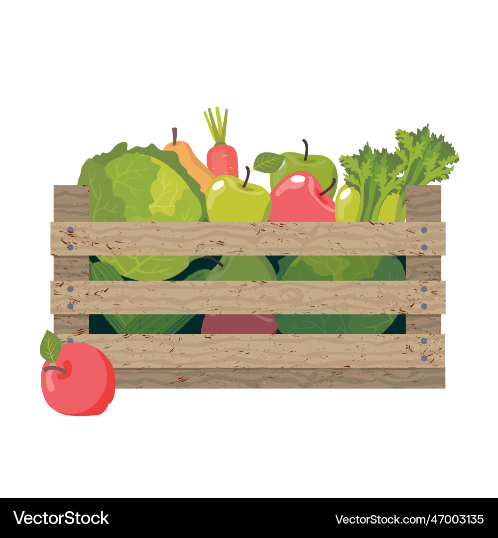 Healthy food box Royalty Free Vector Image - VectorStock