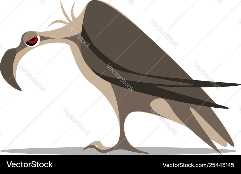A large vulture set on isolated white background Vector Image