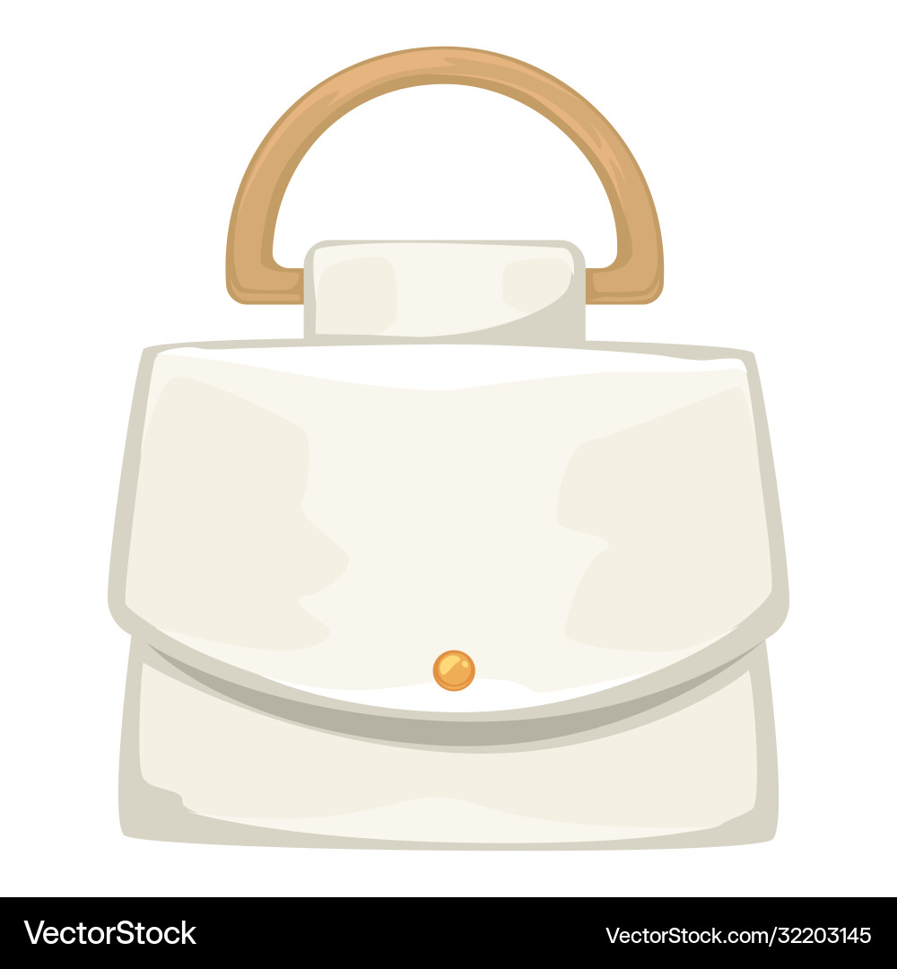 Basic leather handbag for women with golden decor Vector Image