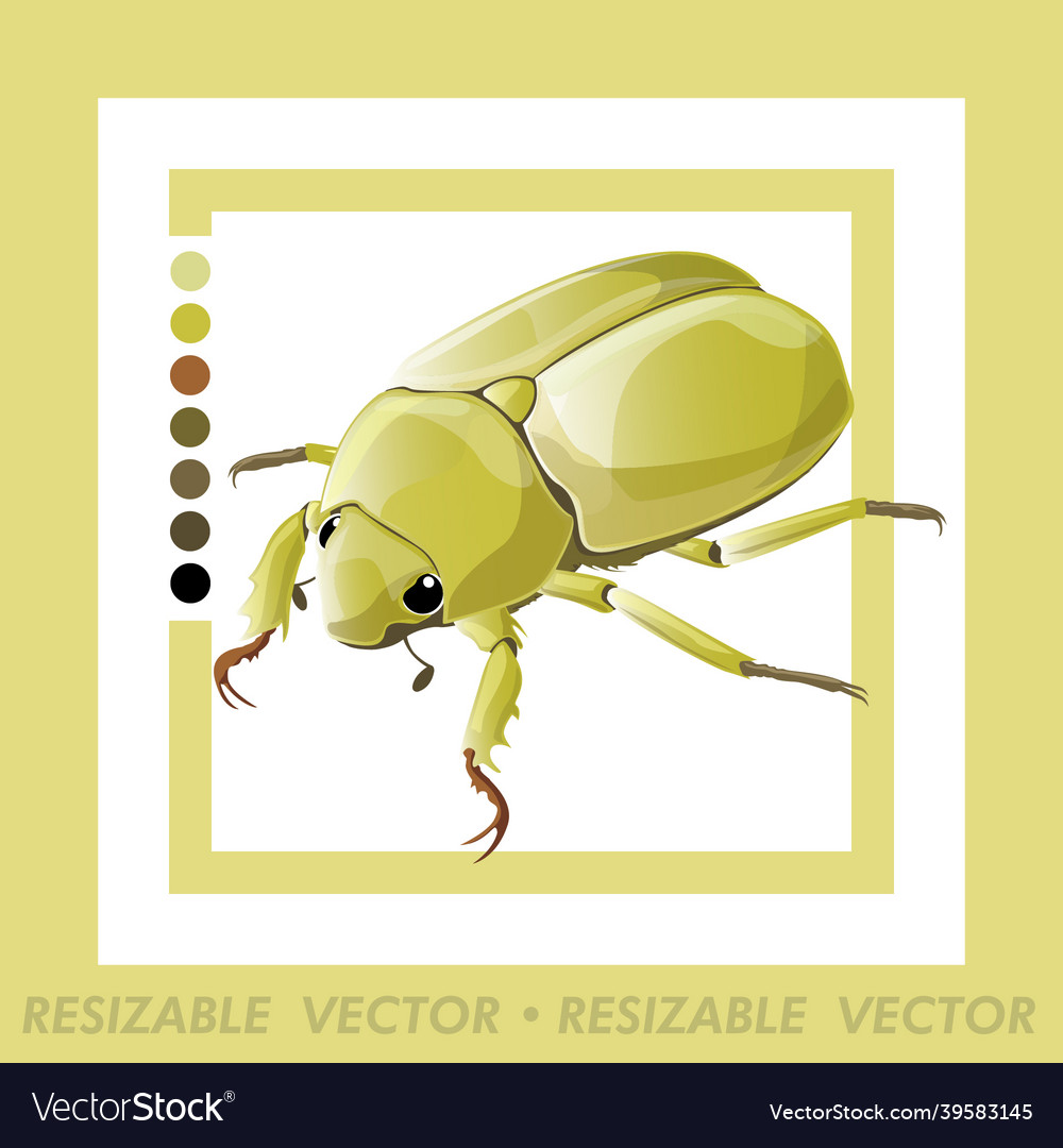 Beetle Royalty Free Vector Image - VectorStock