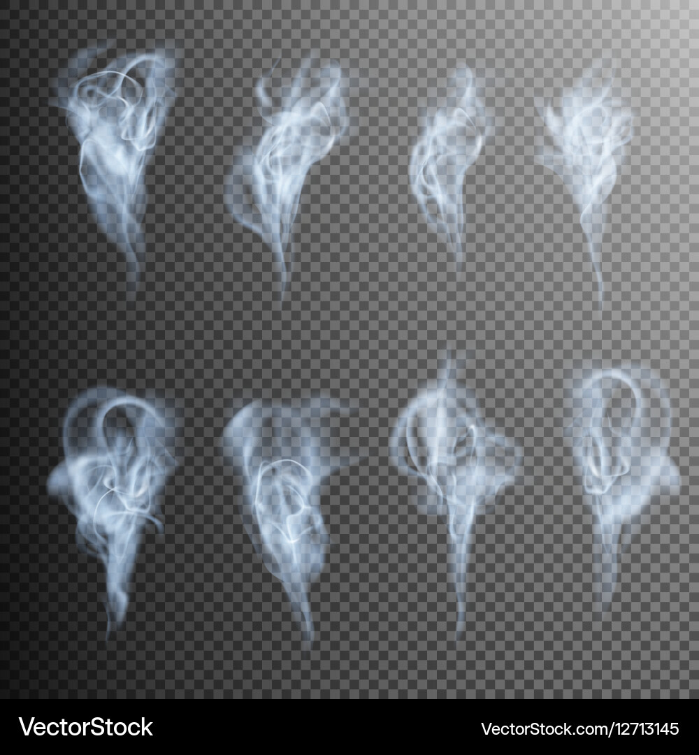 Isolated realistic cigarette smoke waves EPS 10 Vector Image