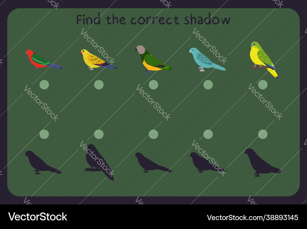 Matching children educational game with parrots Vector Image