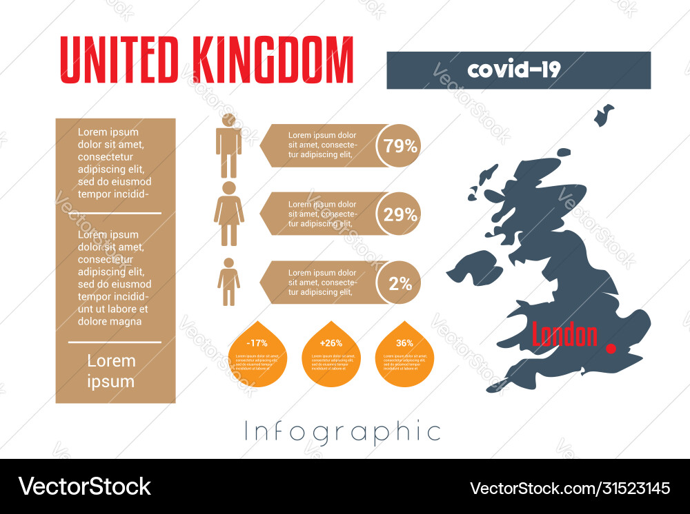 Universal template for infographics with united Vector Image