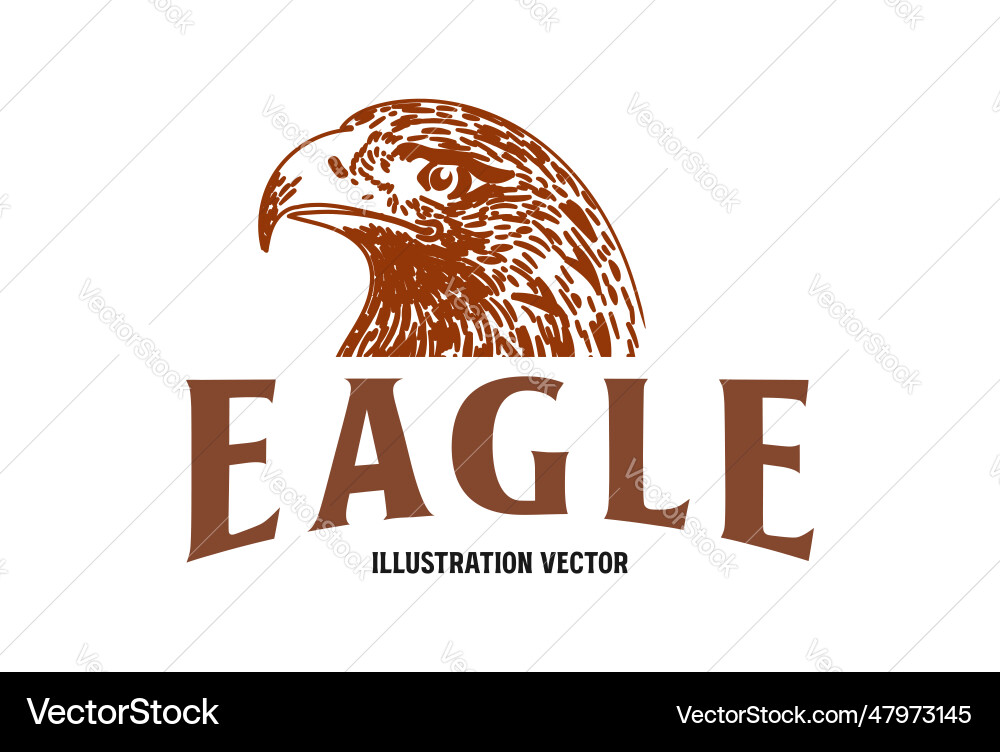 Vintage retro hand draw american bald eagle hawk Vector Image