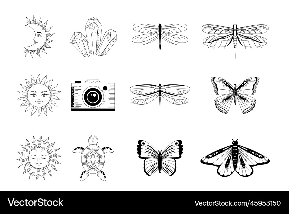 Boho collection of magic line art Royalty Free Vector Image