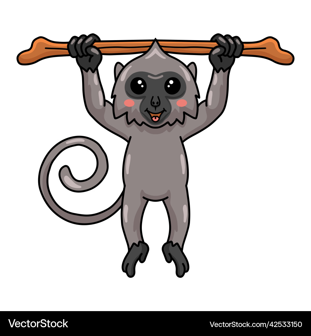 Cute little grey langur monkey cartoon Royalty Free Vector