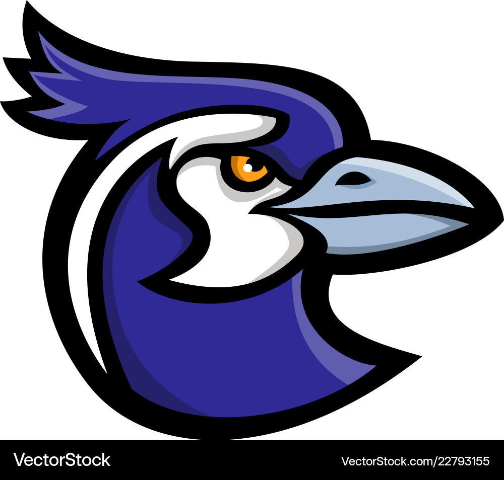 Black-throated magpie-jay mascot Royalty Free Vector Image