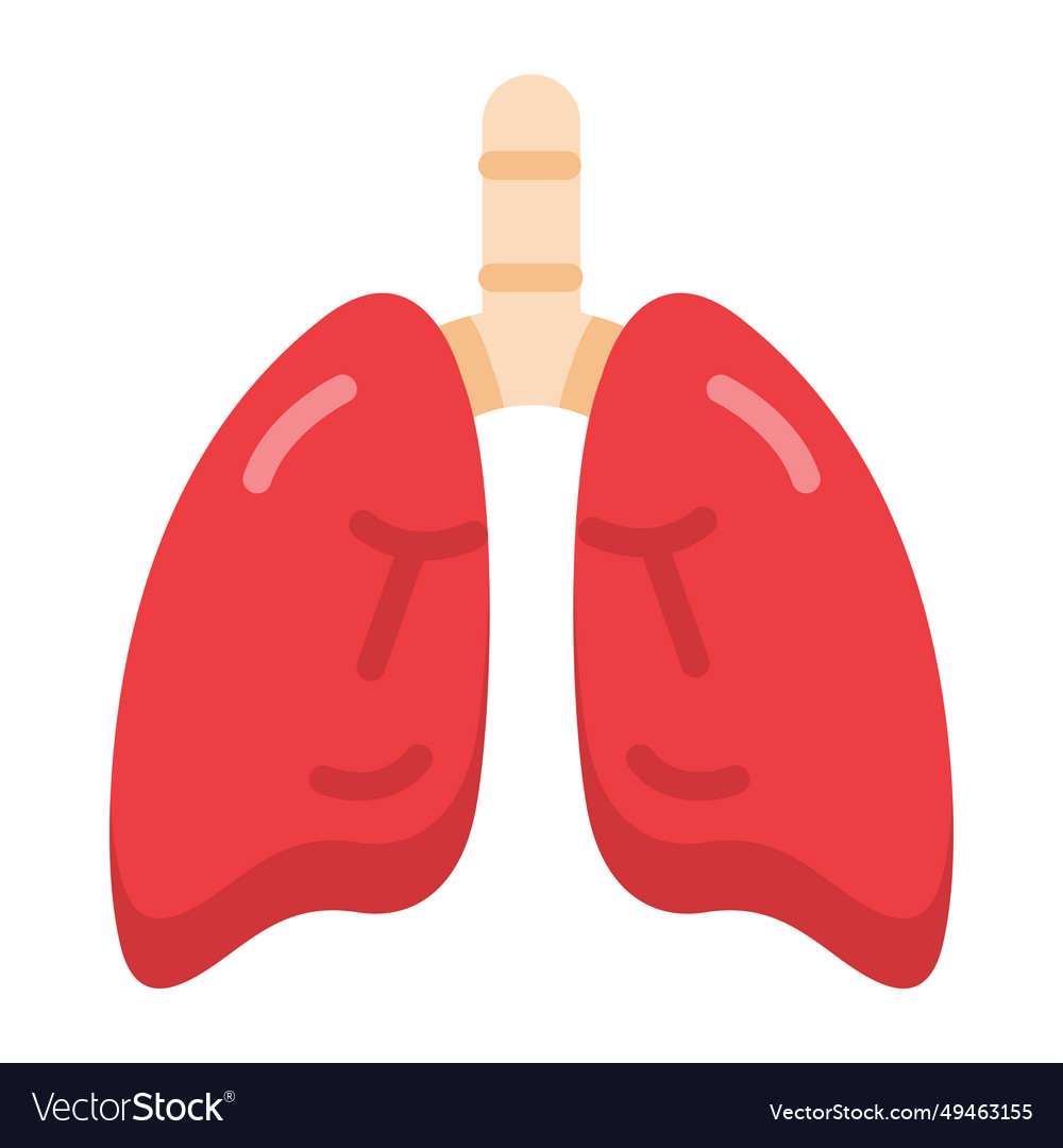 Pulmonology Royalty Free Vector Image - VectorStock Pulmonology Royalty Free Vector Image - VectorStock