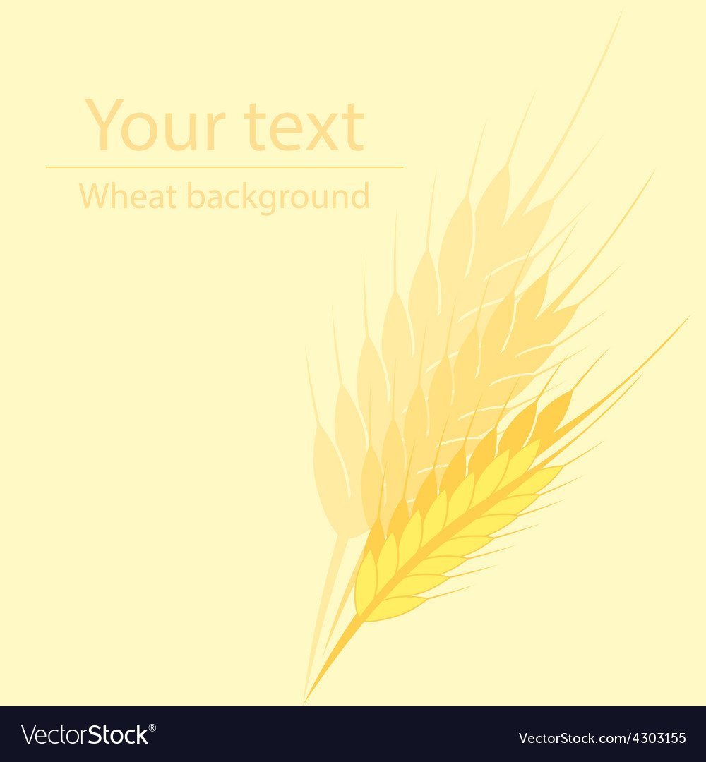 Wheat background Royalty Free Vector Image - VectorStock