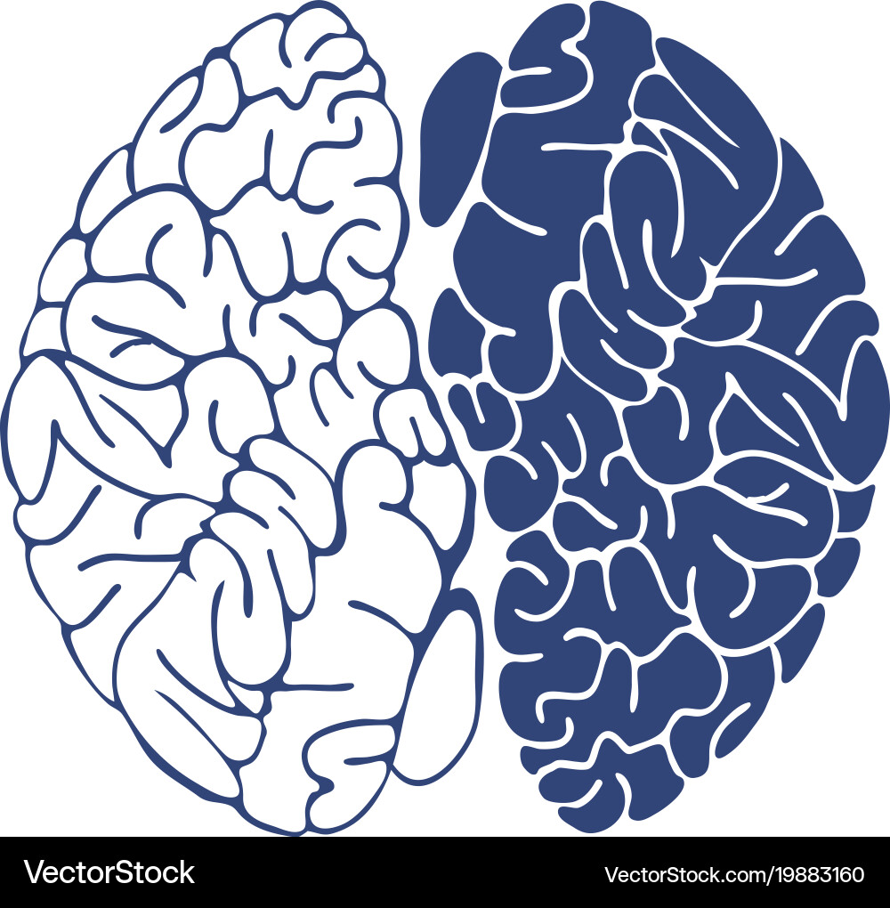 Sketch ink human brain hand drawn Royalty Free Vector Image
