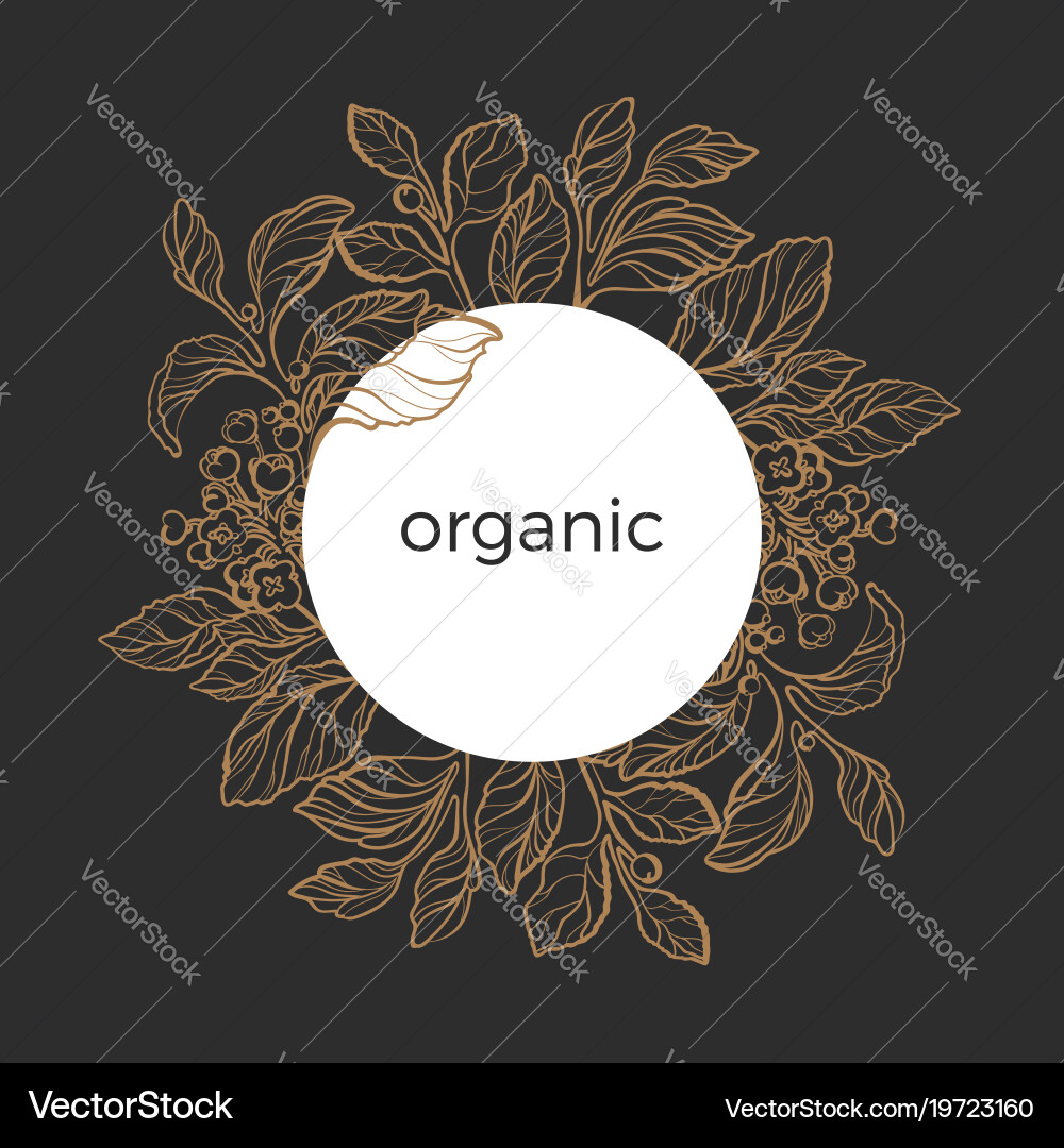 Template branch circle black Royalty Free Vector Image