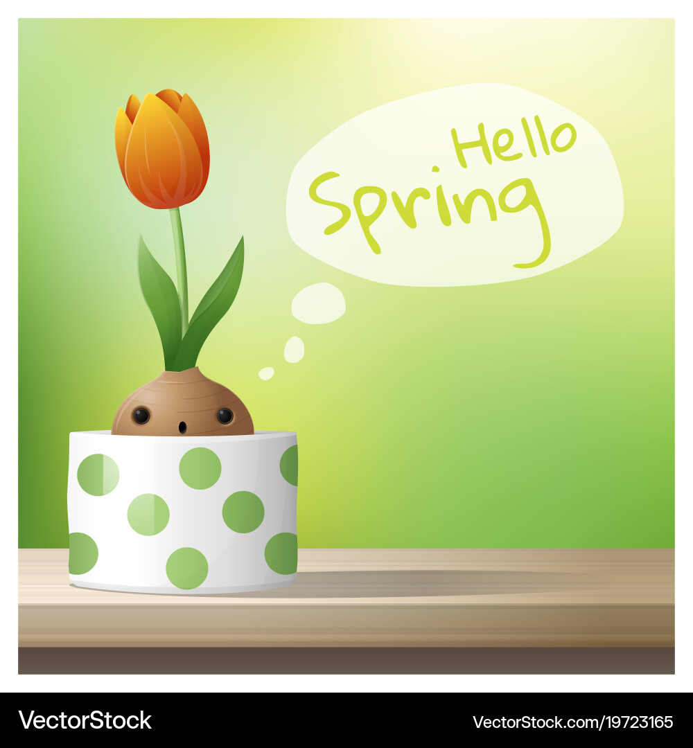 Hello spring background with flower tulip Vector Image