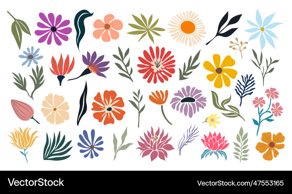Set of hand drawn floral design elements Vector Image