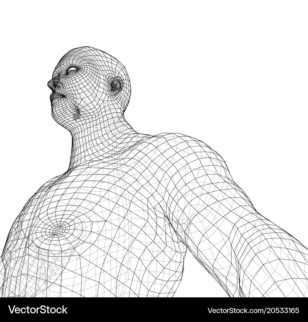 Wire frame athlete body on white background Vector Image