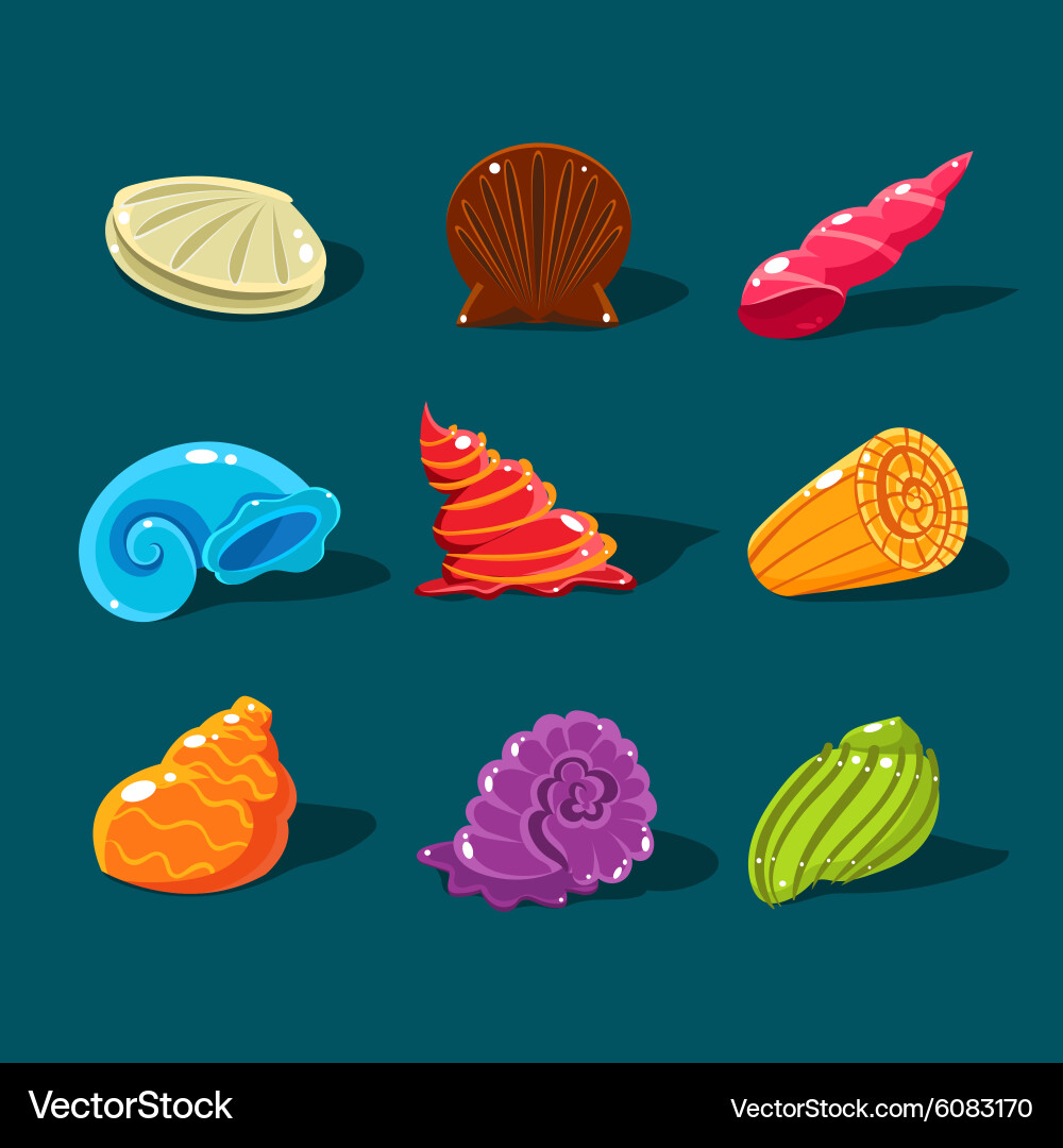 Collection of colorful shells Royalty Free Vector Image