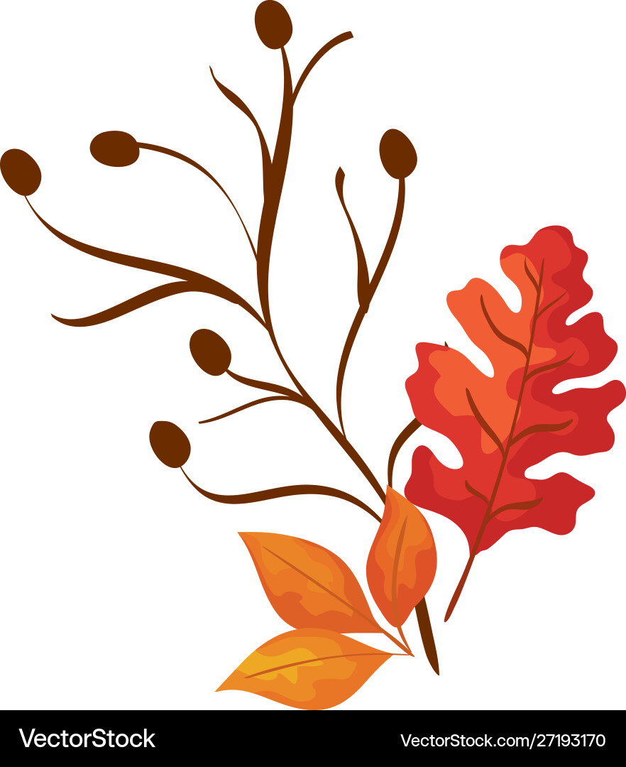 Season autumn branch with leafs Royalty Free Vector Image