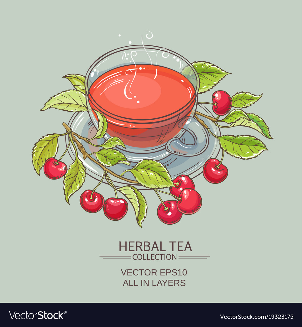 Cherry tea Royalty Free Vector Image - VectorStock