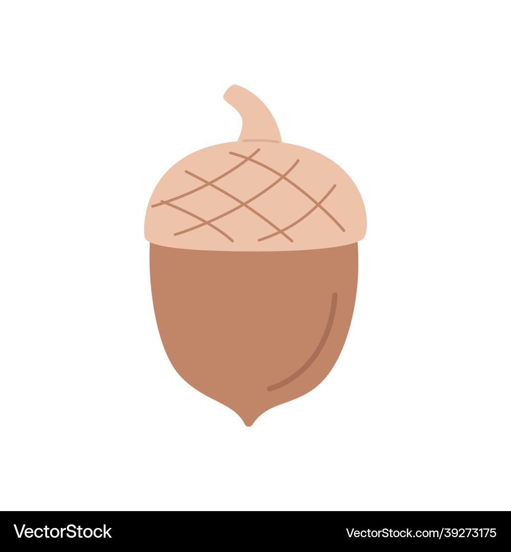 Cute acorn isolated on white modern Royalty Free Vector
