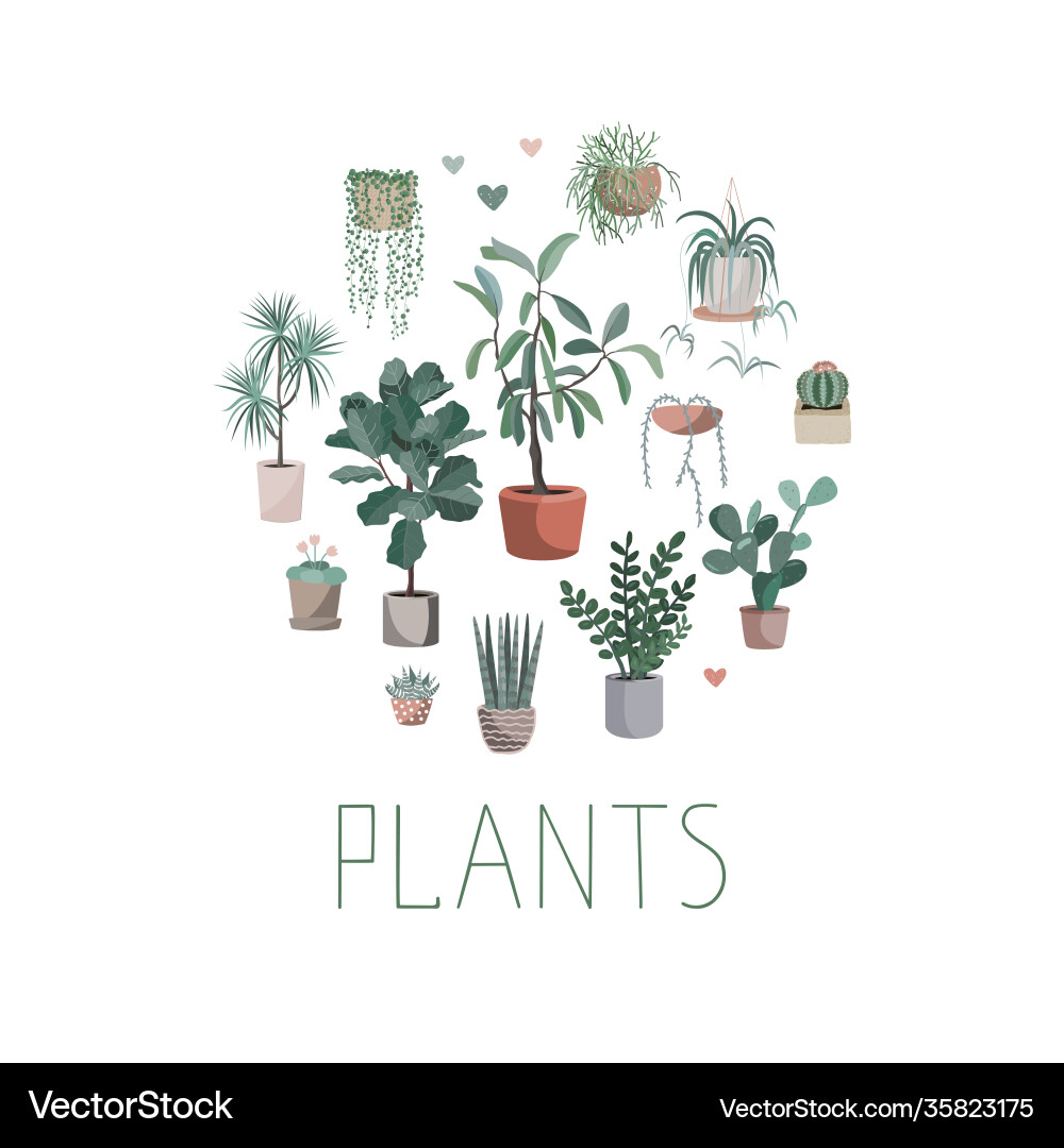 House plants arranged in circle hand drawn Vector Image