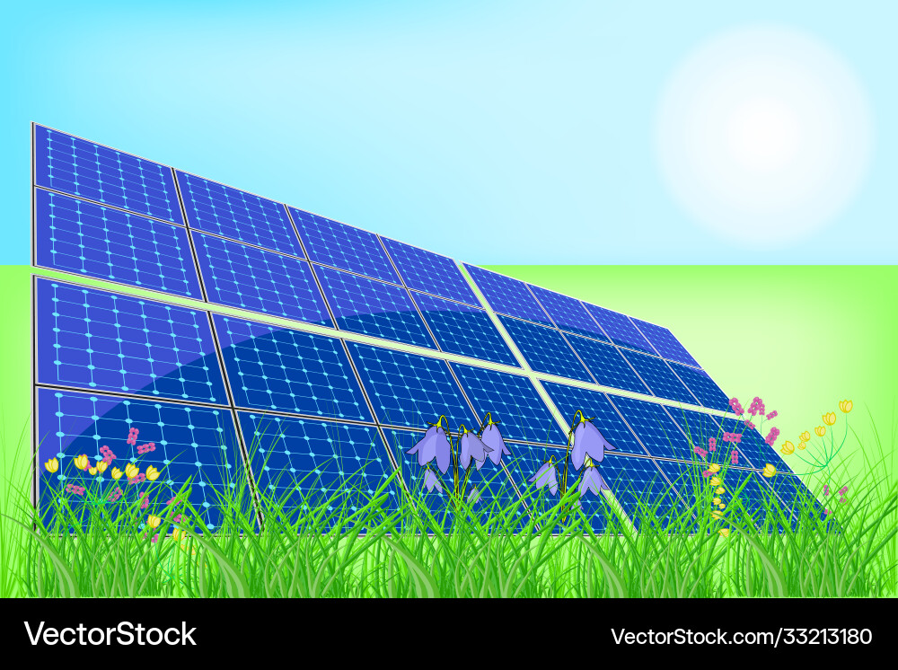 Solar panel batteries in a meadow energy Vector Image